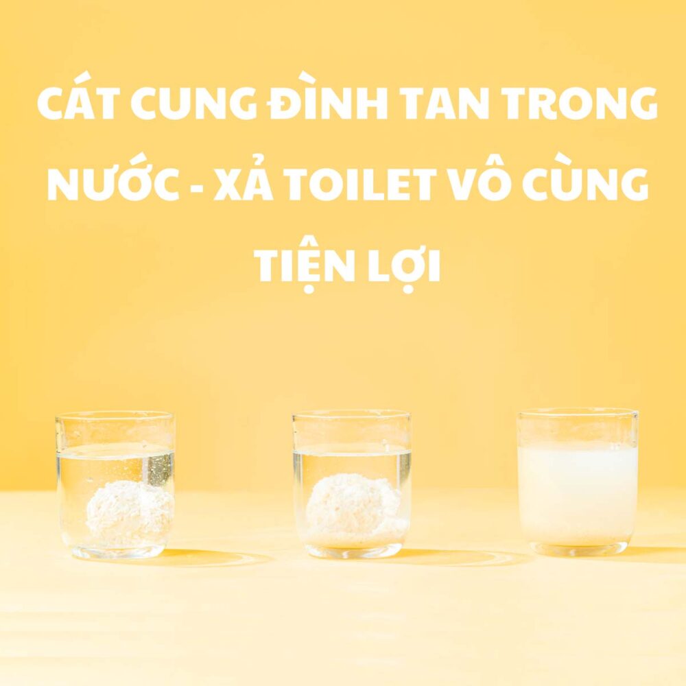 T100 - Mùi Sữa - Cát Cung Đình